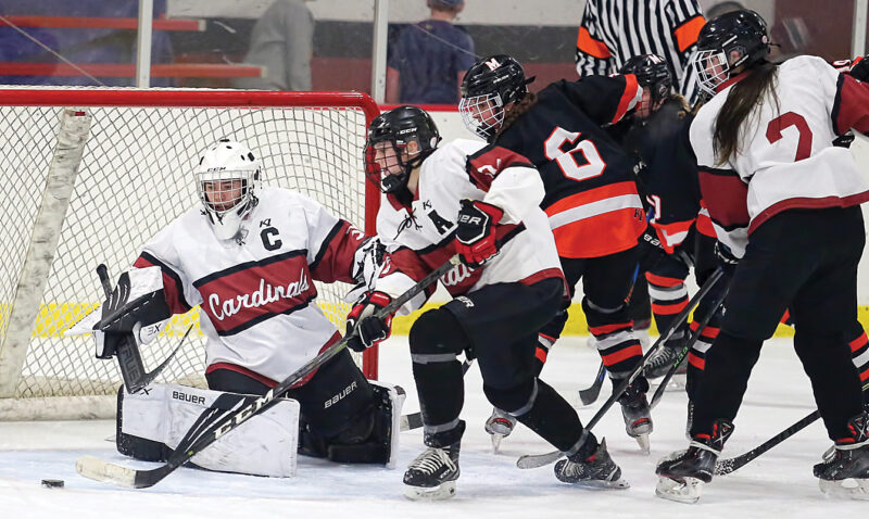 Mauch, Tigers scratch Fairmont Area hockey, 5-2 | News, Sports, Jobs ...
